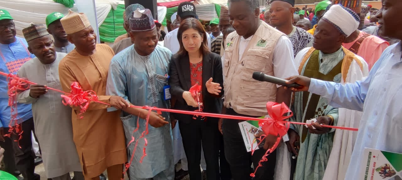Sasakawa rice value chain development Project excites Nasarawa ...